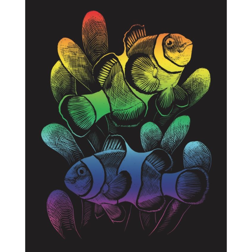 RAINBOW ENGRAVING CLOWN FISH - The Model Shop